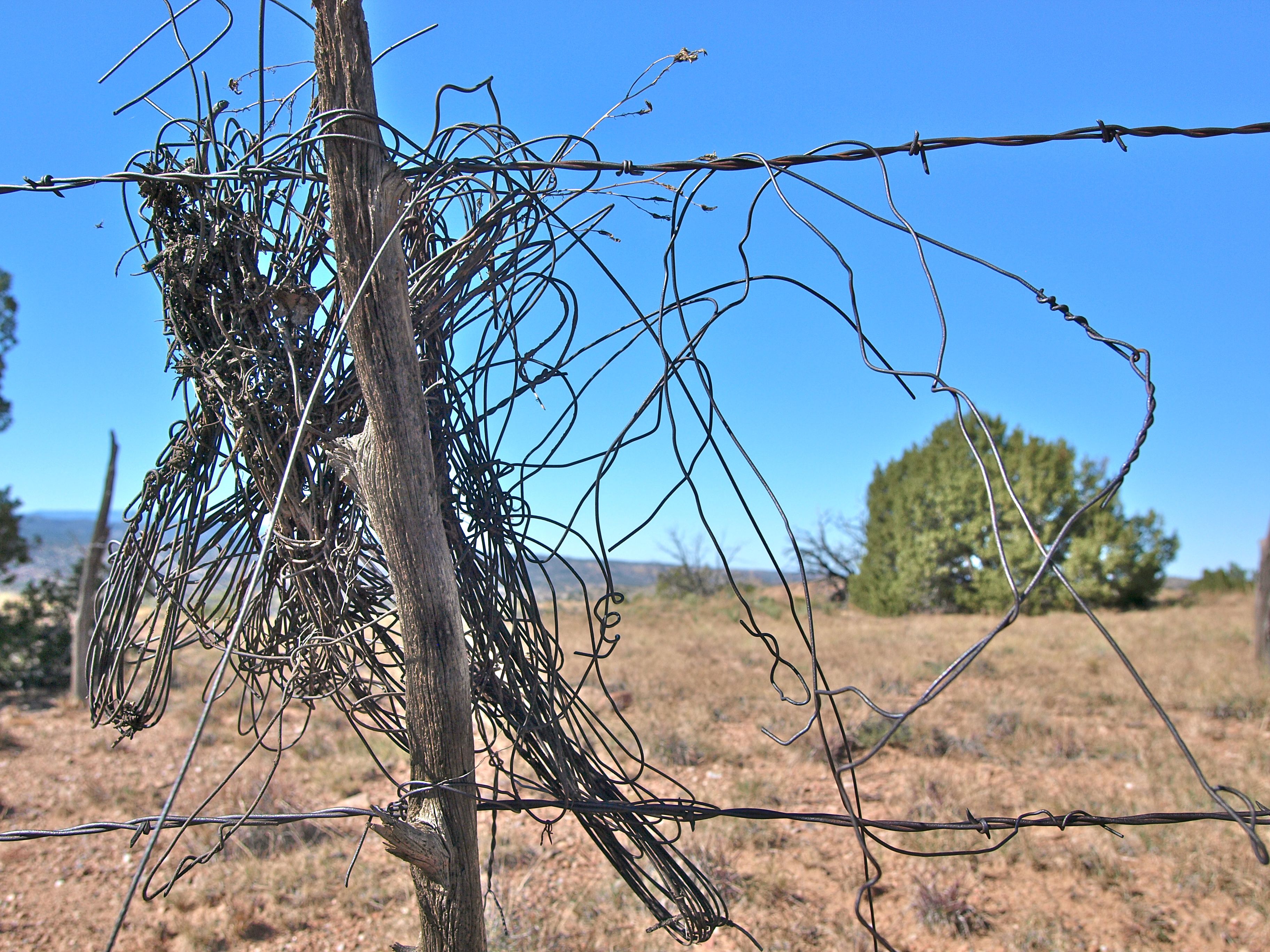 The Devil’s Rope | Travels with the Blonde Coyote