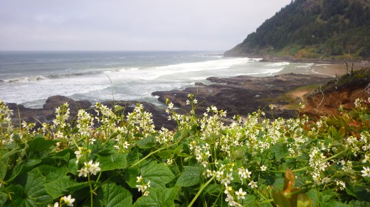 Ruby’s First Roadtrip! | Travels with the Blonde Coyote